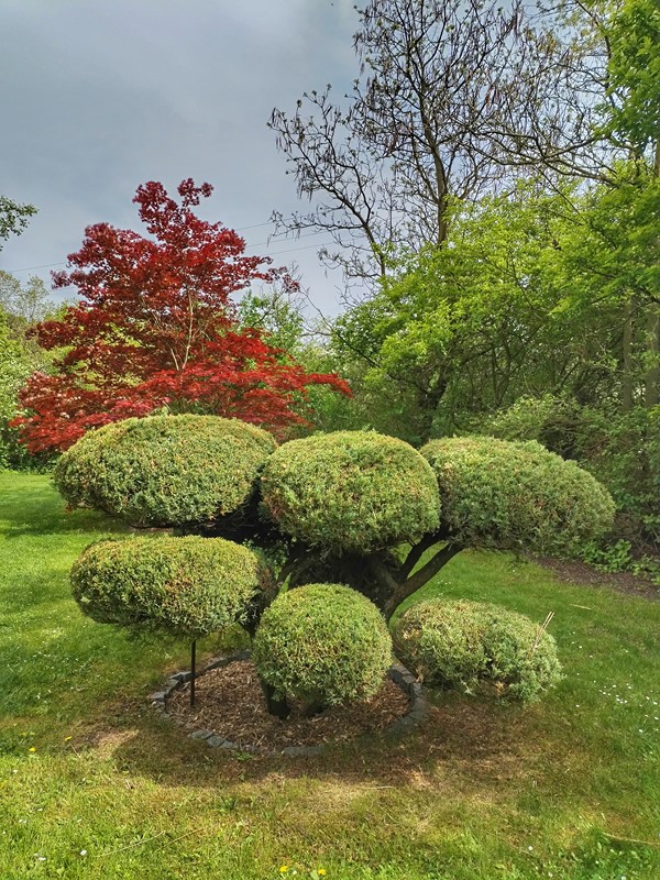 Botanicus Ostrá - centrum řemesel a zahrady :: malivyletnici.cz